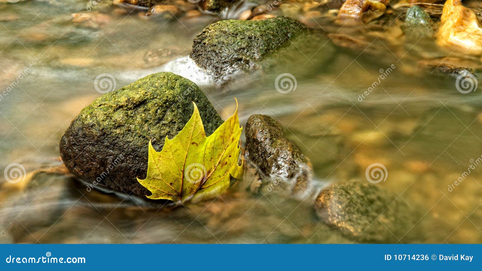 Change of seasons stock photo. Image of environment, background - 10714236