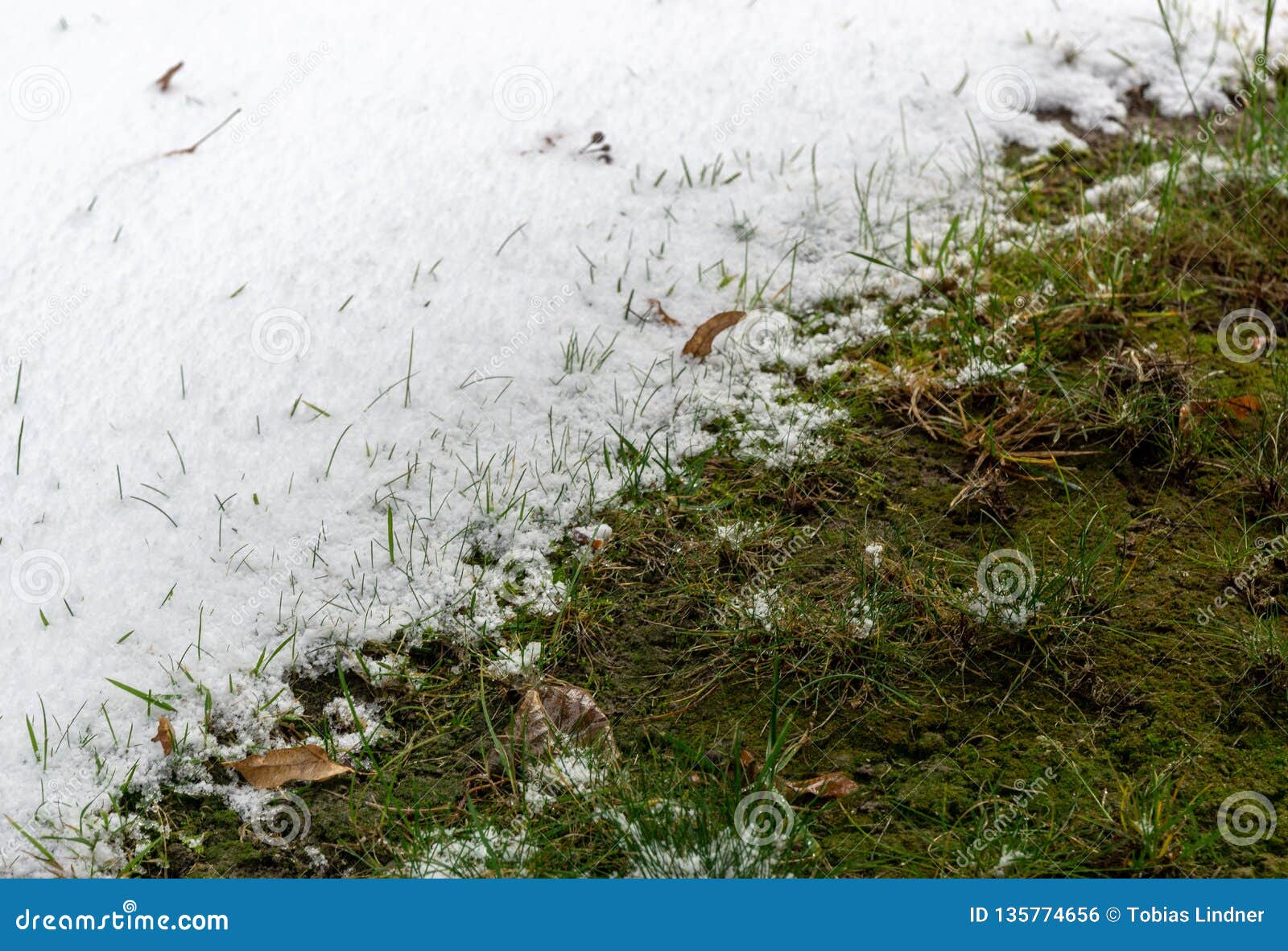 Change or Transition from Winter To Spring Stock Photo - Image of cold ...