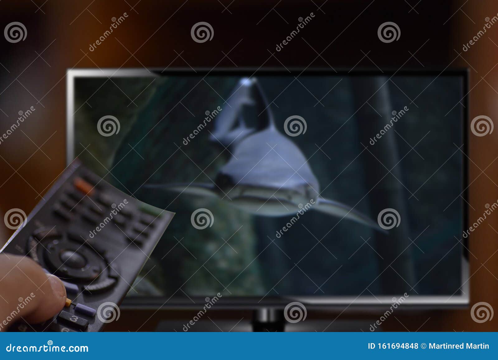 Change TV Channel with Remote Control Stock Photo - Image of display ...