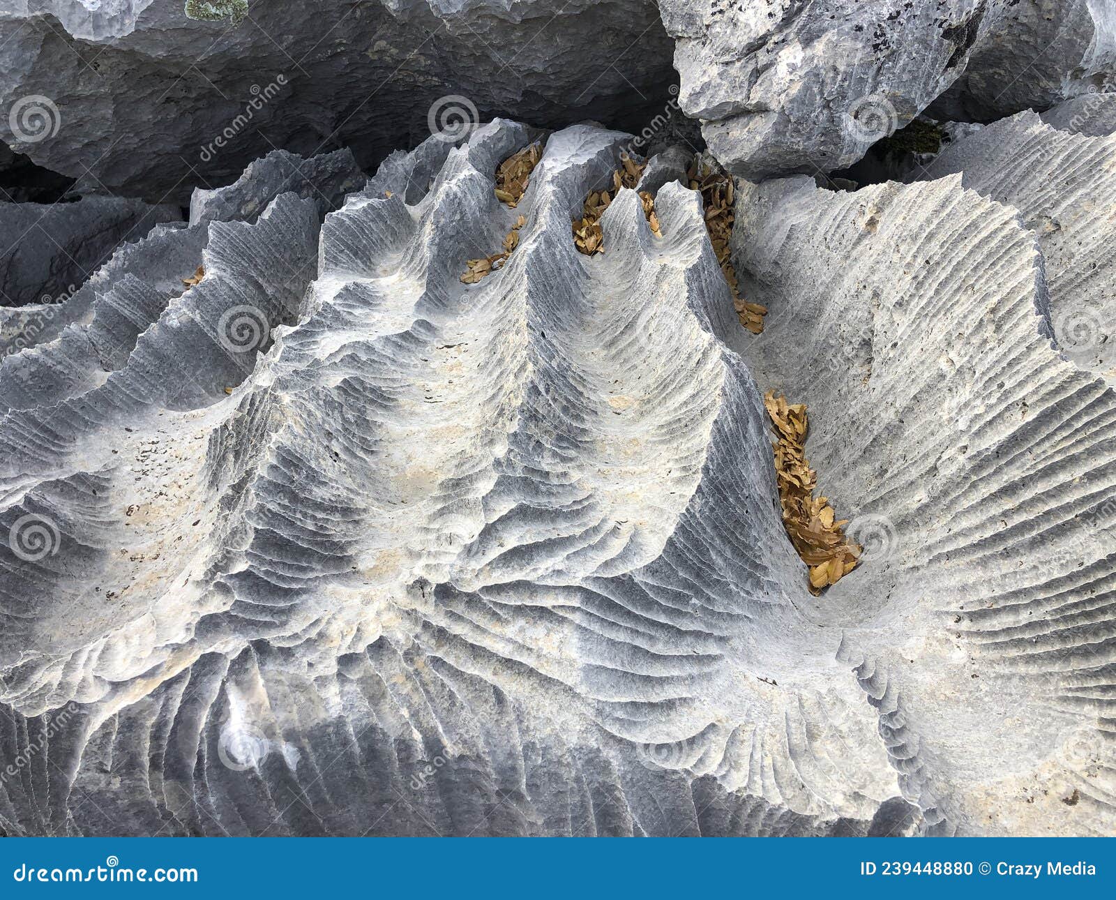 Changes, Sharpness, Formations, Crevices, Corrugated and Sharp ...