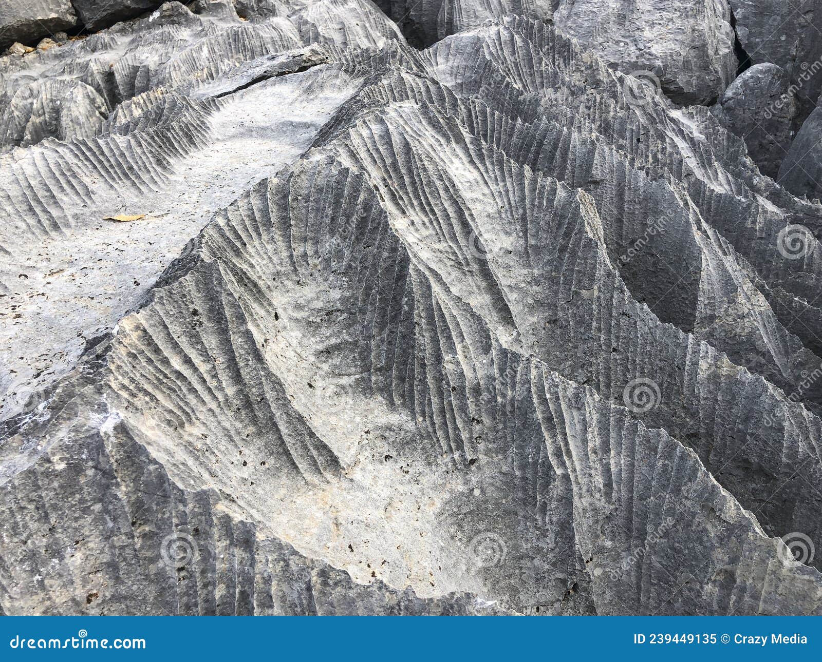 Changes, Sharpness, Formations, Crevices, Corrugated and Sharp ...