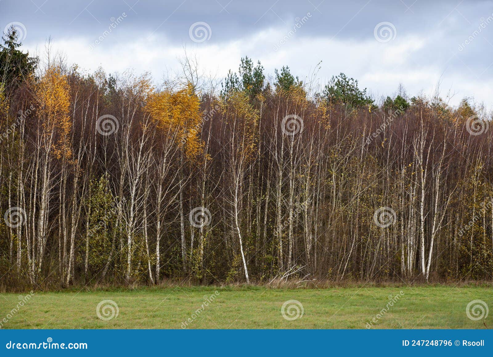 Changes in Nature during the Autumn Season Stock Photo - Image of ...
