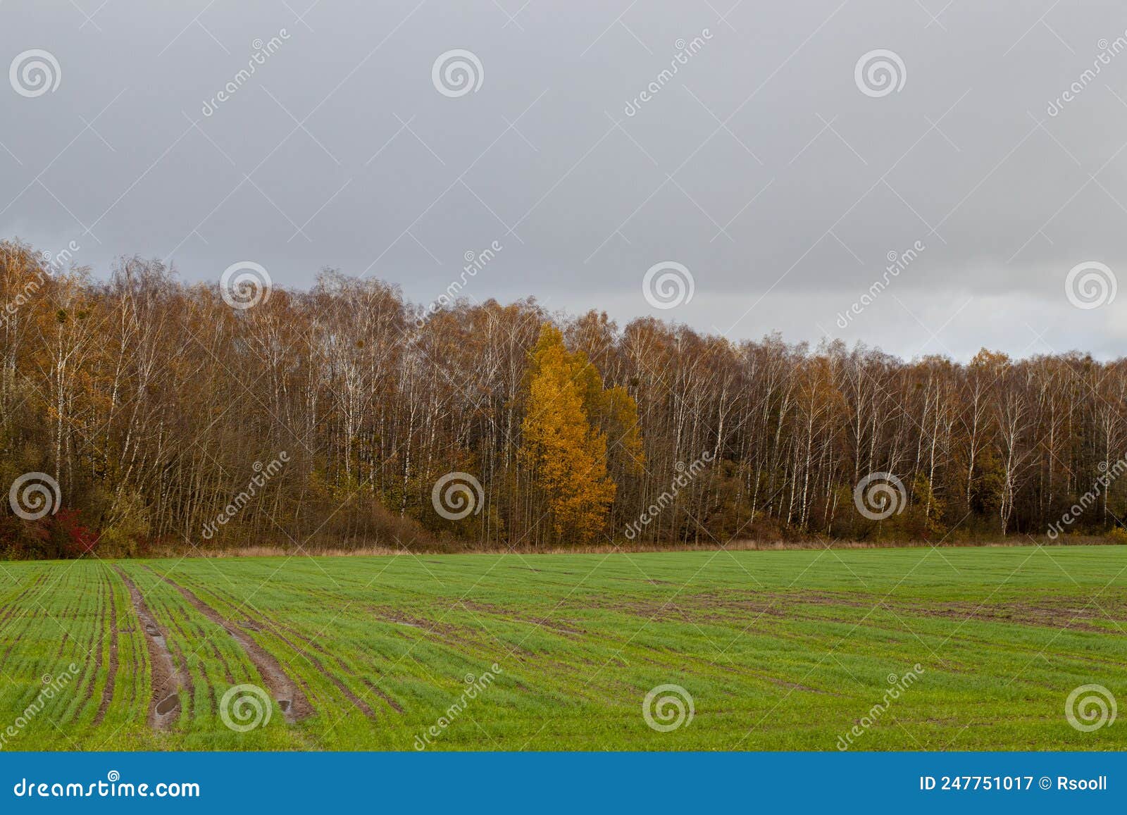 Changes in Nature during the Autumn Season Stock Image - Image of ...