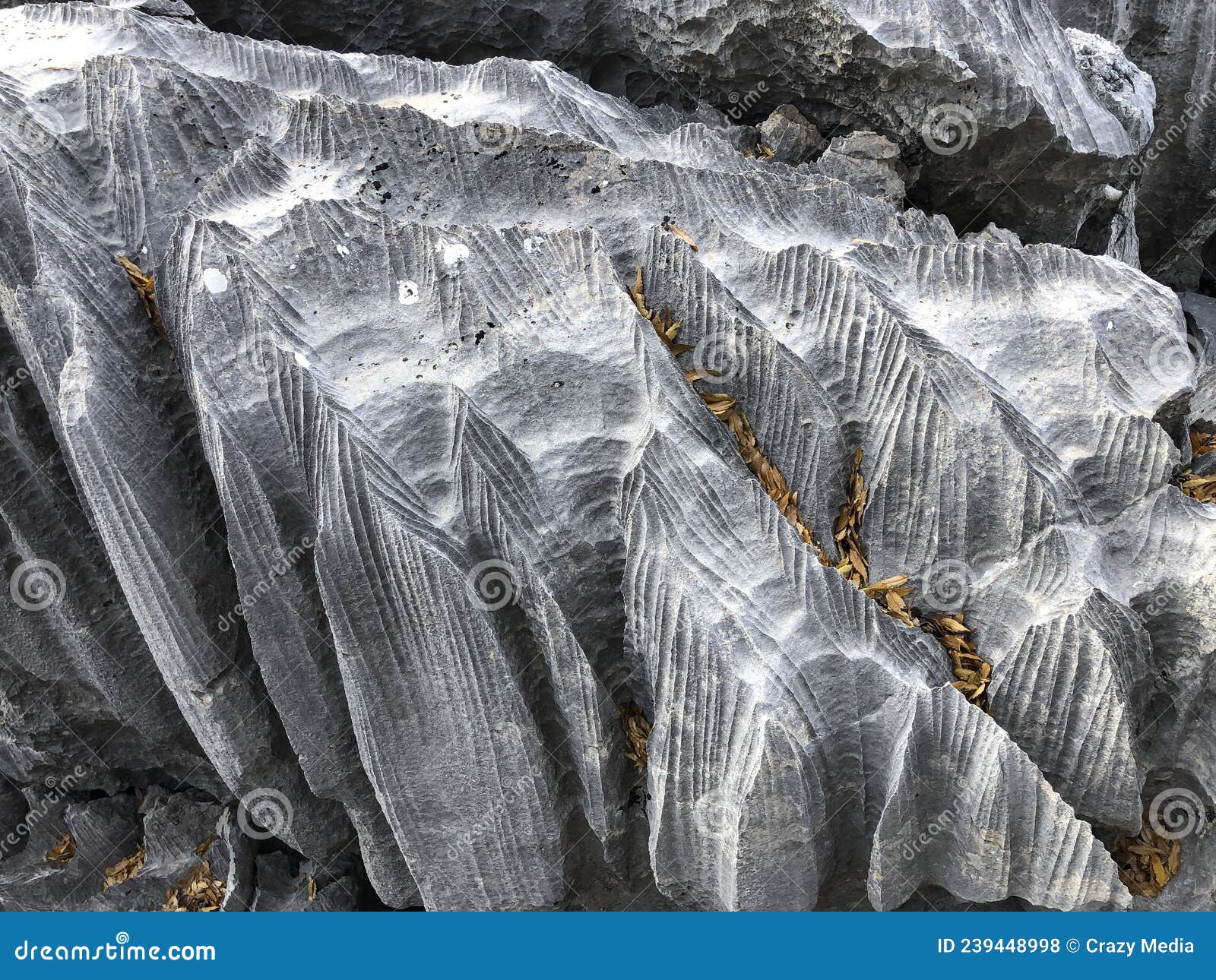 Changes, Sharpness, Formations, Crevices, Corrugated and Sharp ...