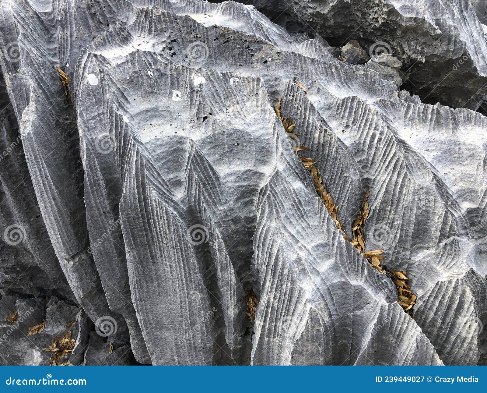 Changes, Sharpness, Formations, Crevices, Corrugated and Sharp ...