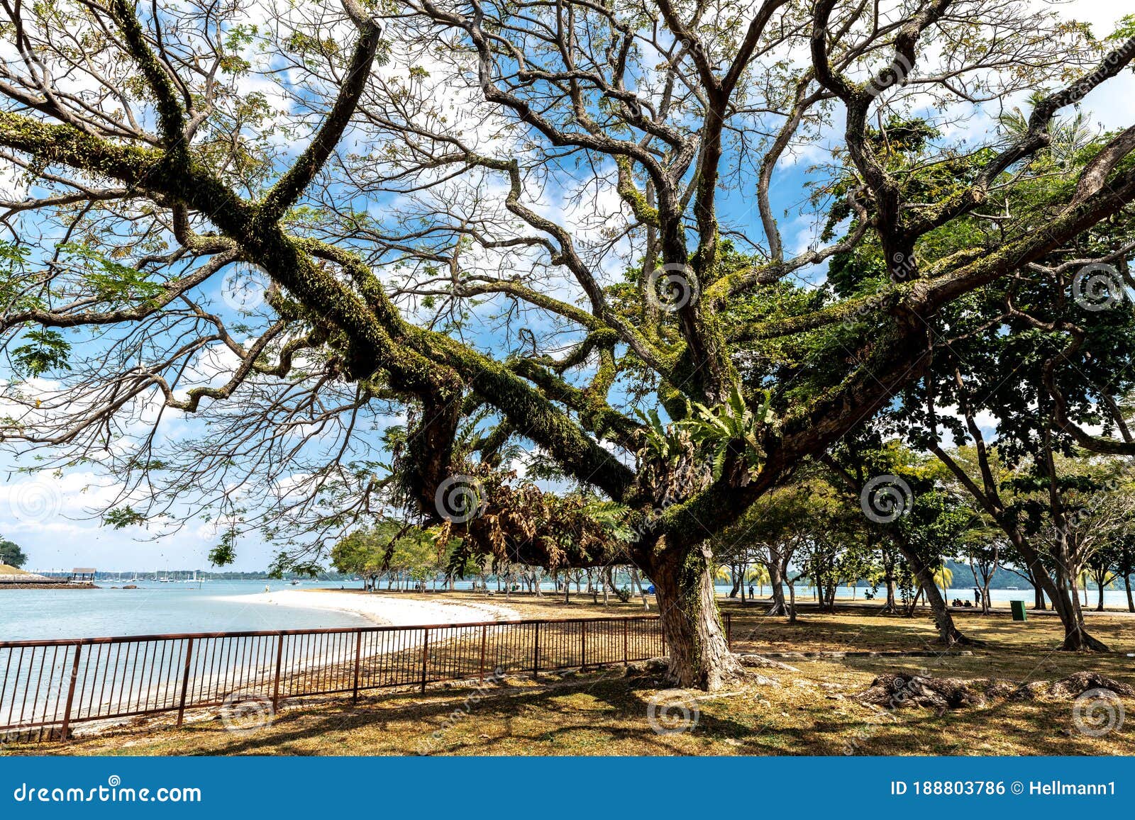 Changi Beach Park stock photo. Image of beautiful, beach - 188803786