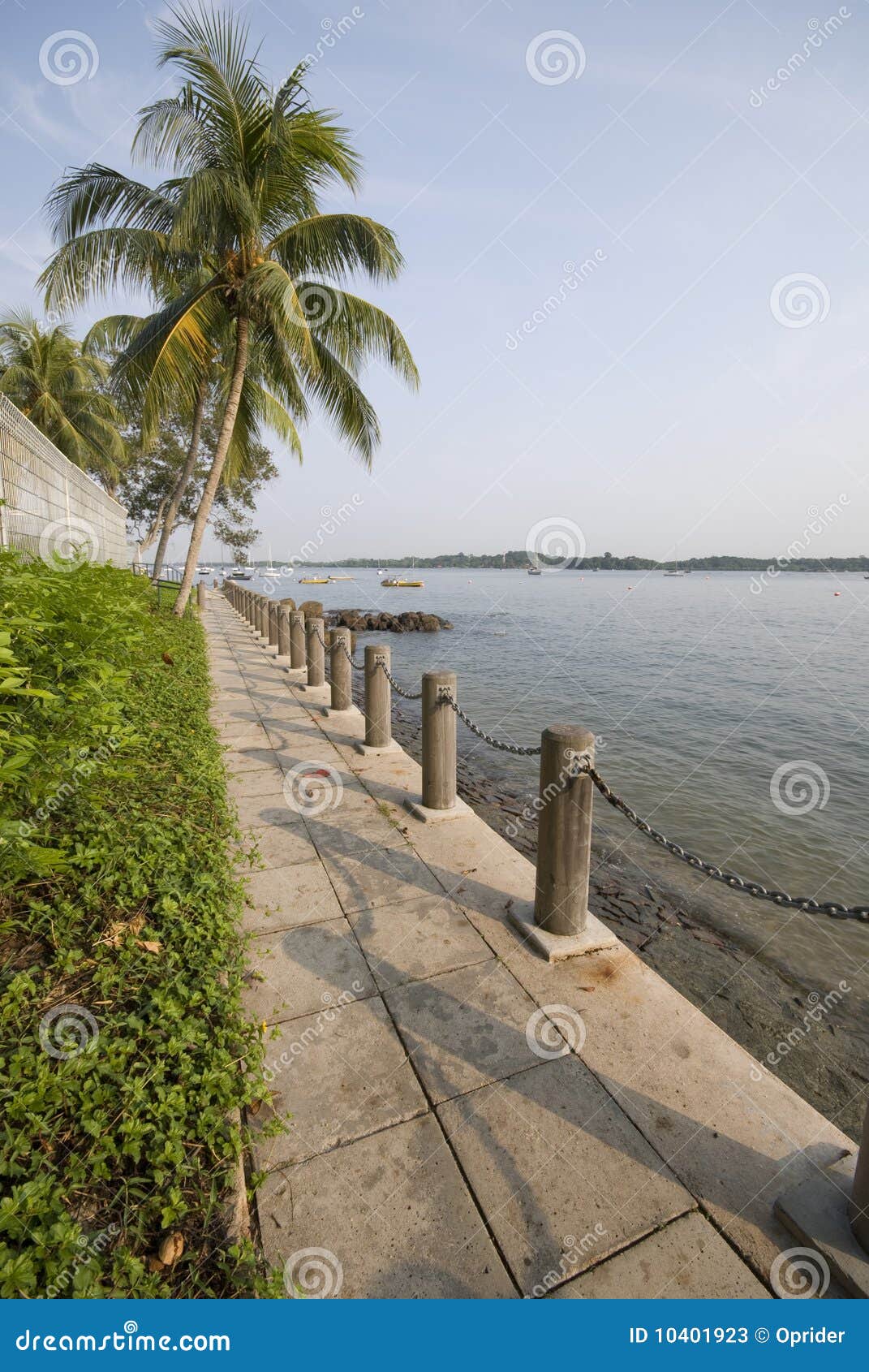 Changi Point Coastal Boardwalk of Singapore Stock Image - Image of rock ...