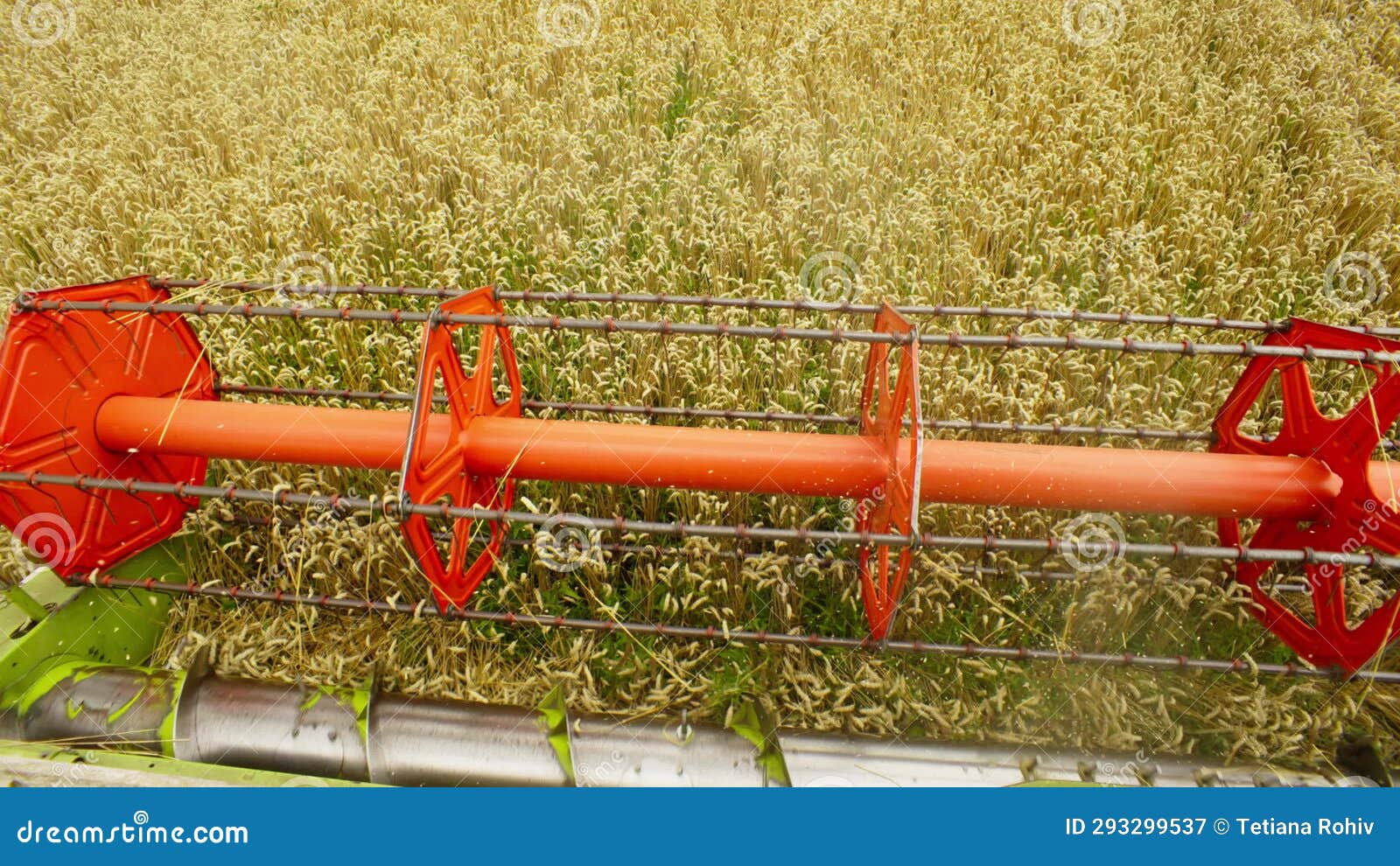 Changing the Frame from a General Wheat Field To a Large Robot ...