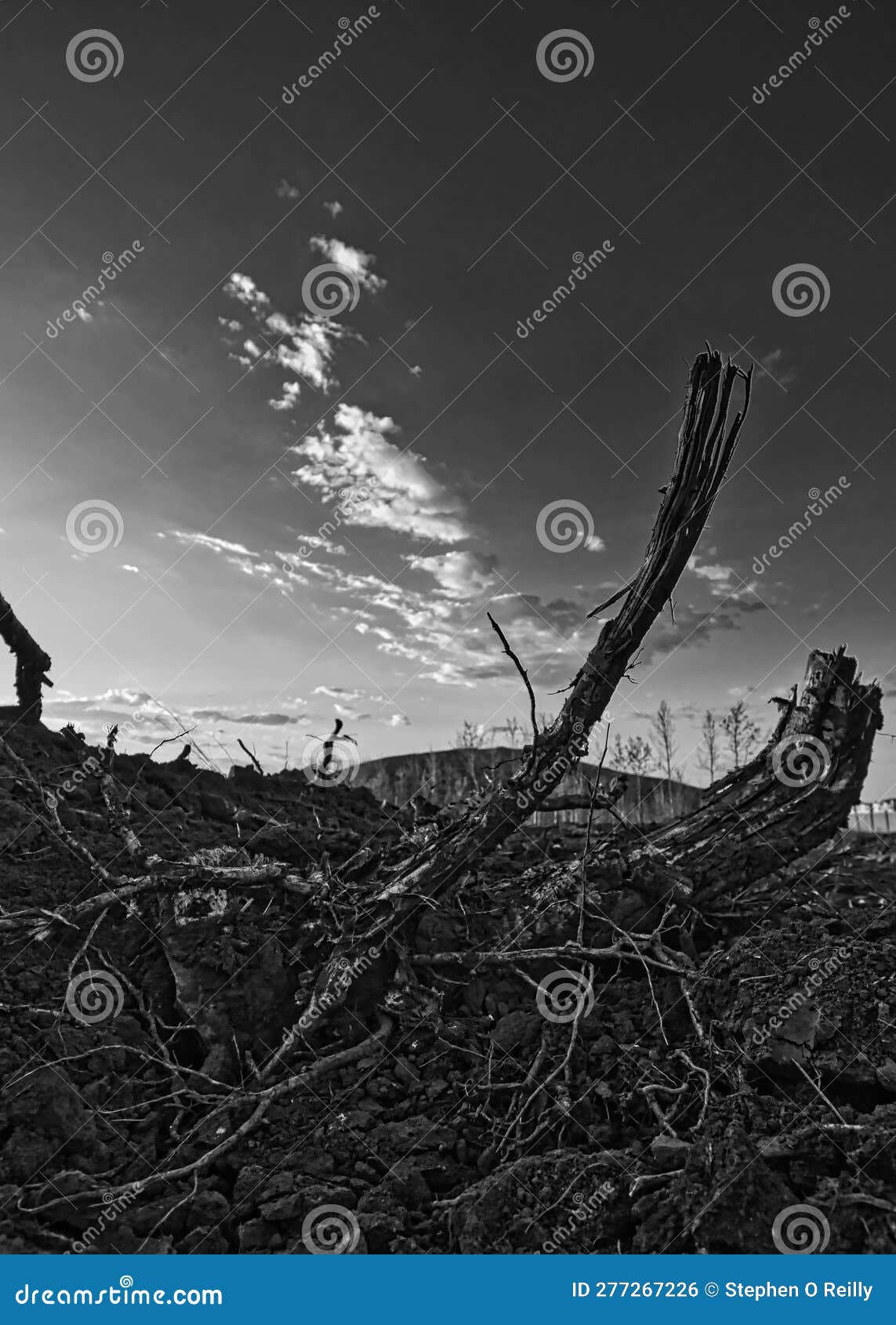 Changing Landscape Land Being Cleared for Development Stock Photo ...