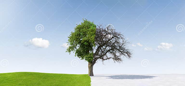 Changing seasons stock image. Image of outdoors, progress - 8705705