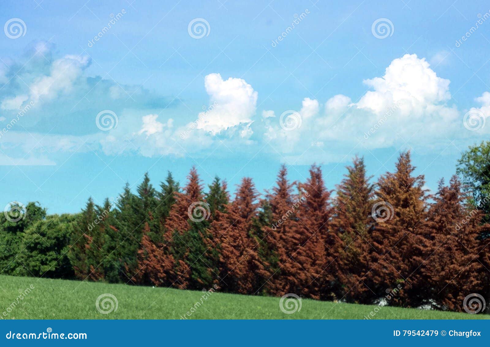 Changing Seasons stock image. Image of seasons, contrast - 79542479