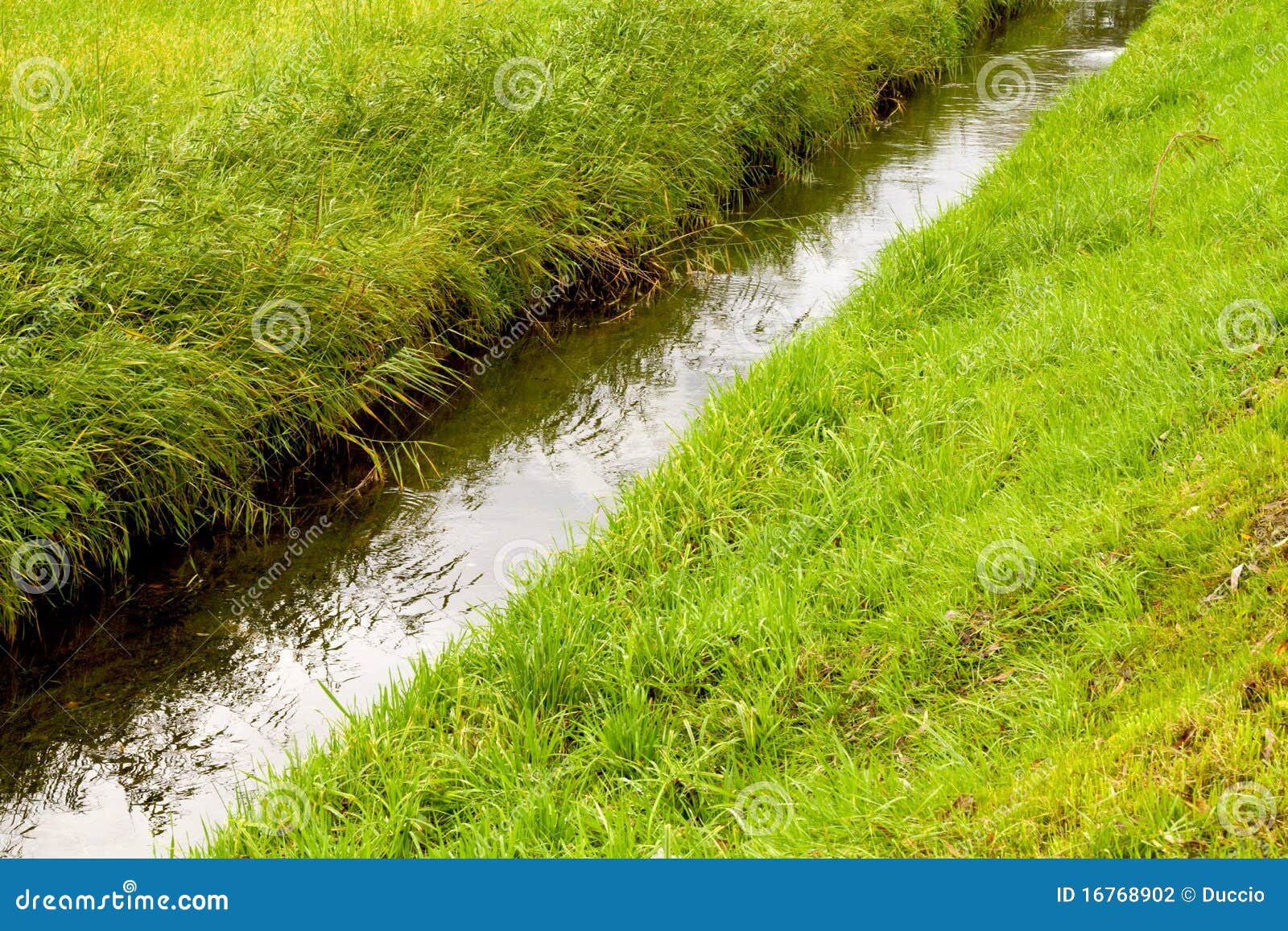 Channel stock photo. Image of channel, flowing, grass - 16768902