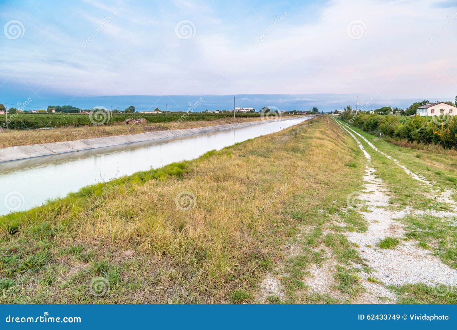 Channel for Irrigation of Cultivated Fields Stock Image - Image of ...