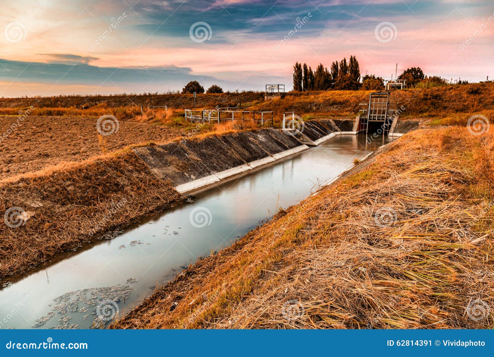 Channel for Irrigation of Cultivated Fields Stock Image - Image of ...