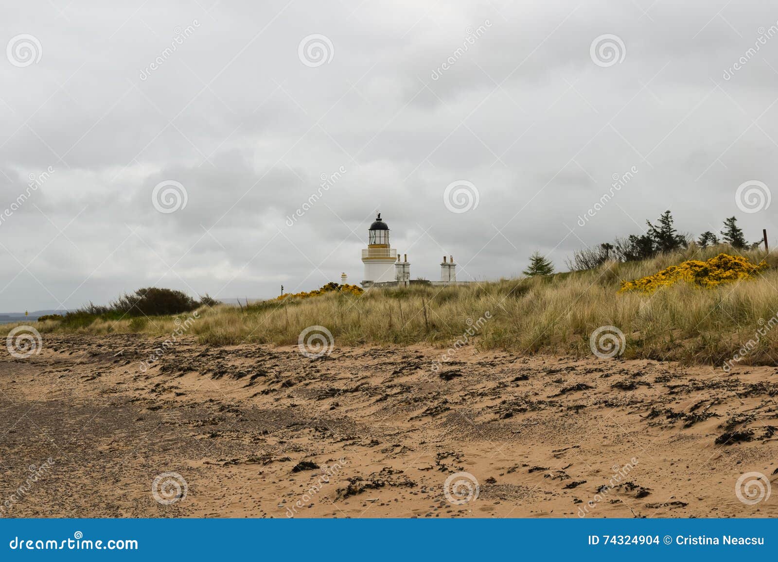 Chanonry Point lighthouse stock photo. Image of highlands - 74324904
