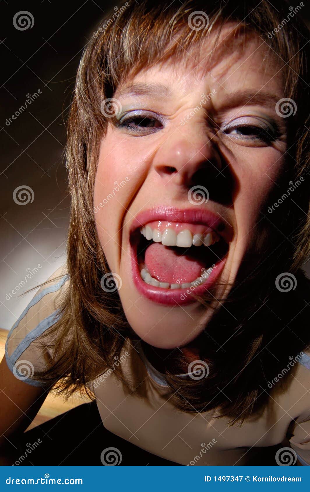 Chant trop fort image stock. Image of fâché, gens, affaires - 1497347