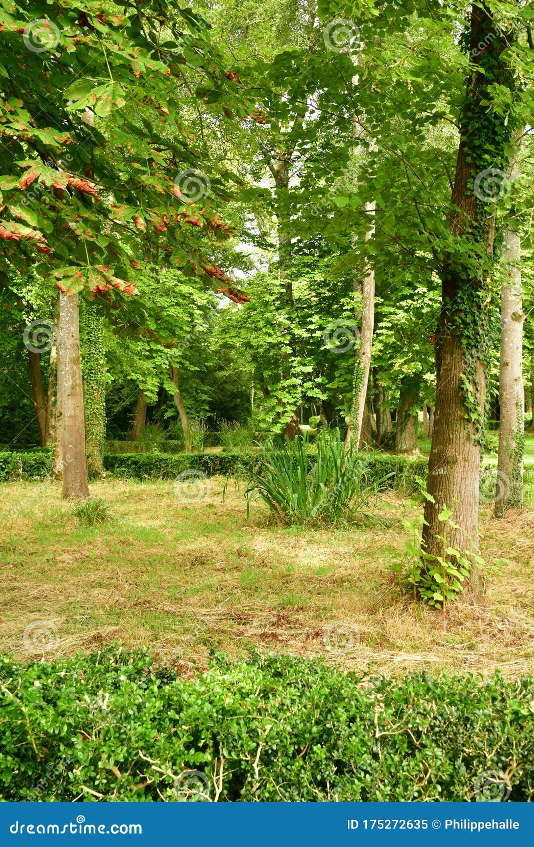 Chantilly, France - August 14 2016 : Castle of Chantilly Editorial ...