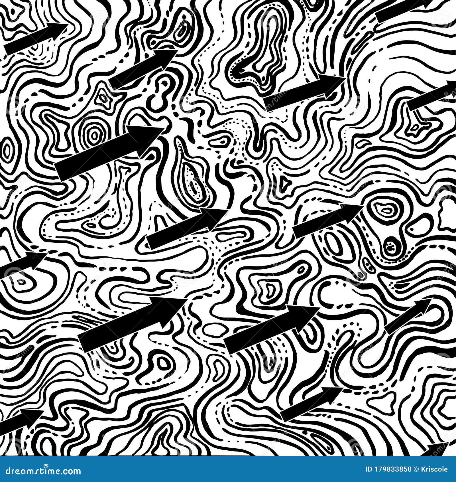 Chaotic and Directed, a Vector for Moving Forward As a Contrast To ...