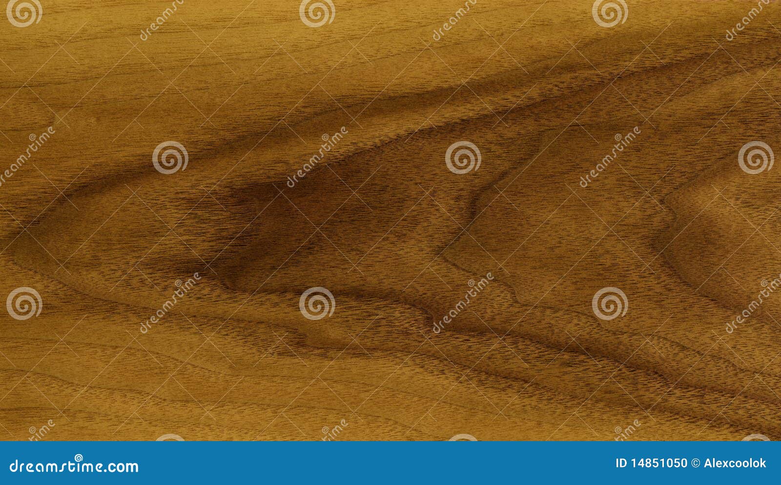 Chapa de la teca foto de archivo. Imagen de fondo, bosque - 14851050