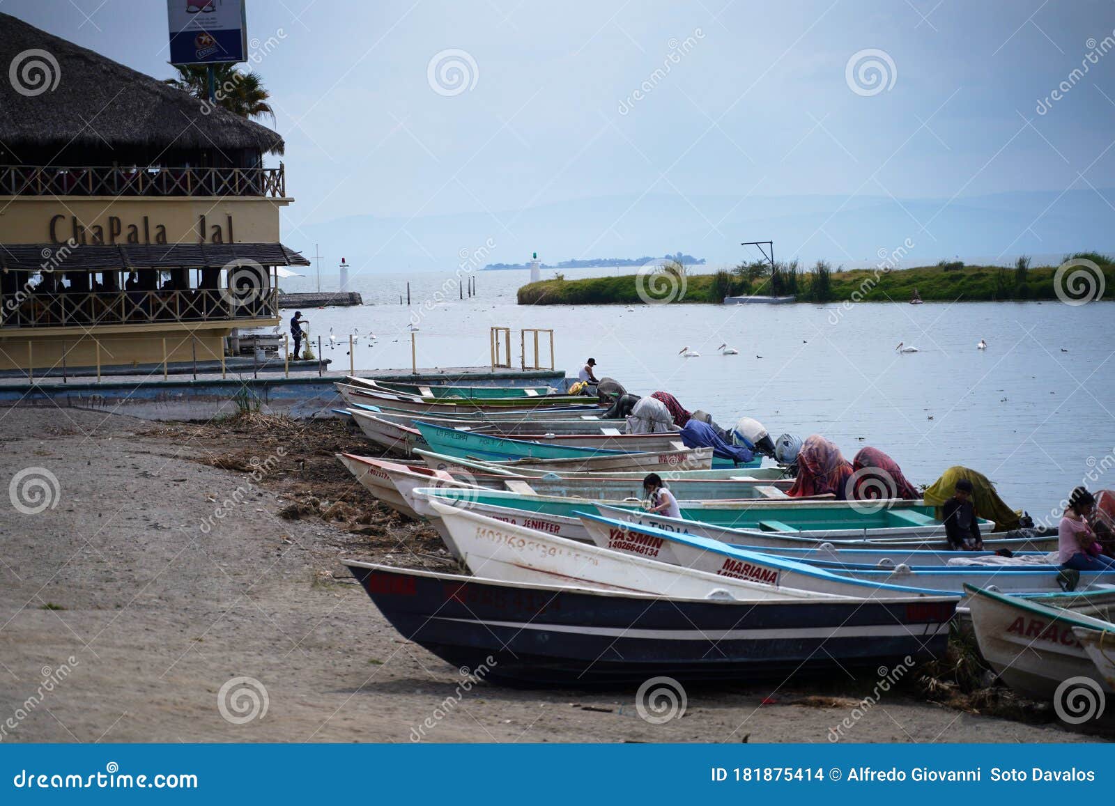 Fishing Rafts on the Shore of the Chapala Lake Jalisco Mexico Editorial ...