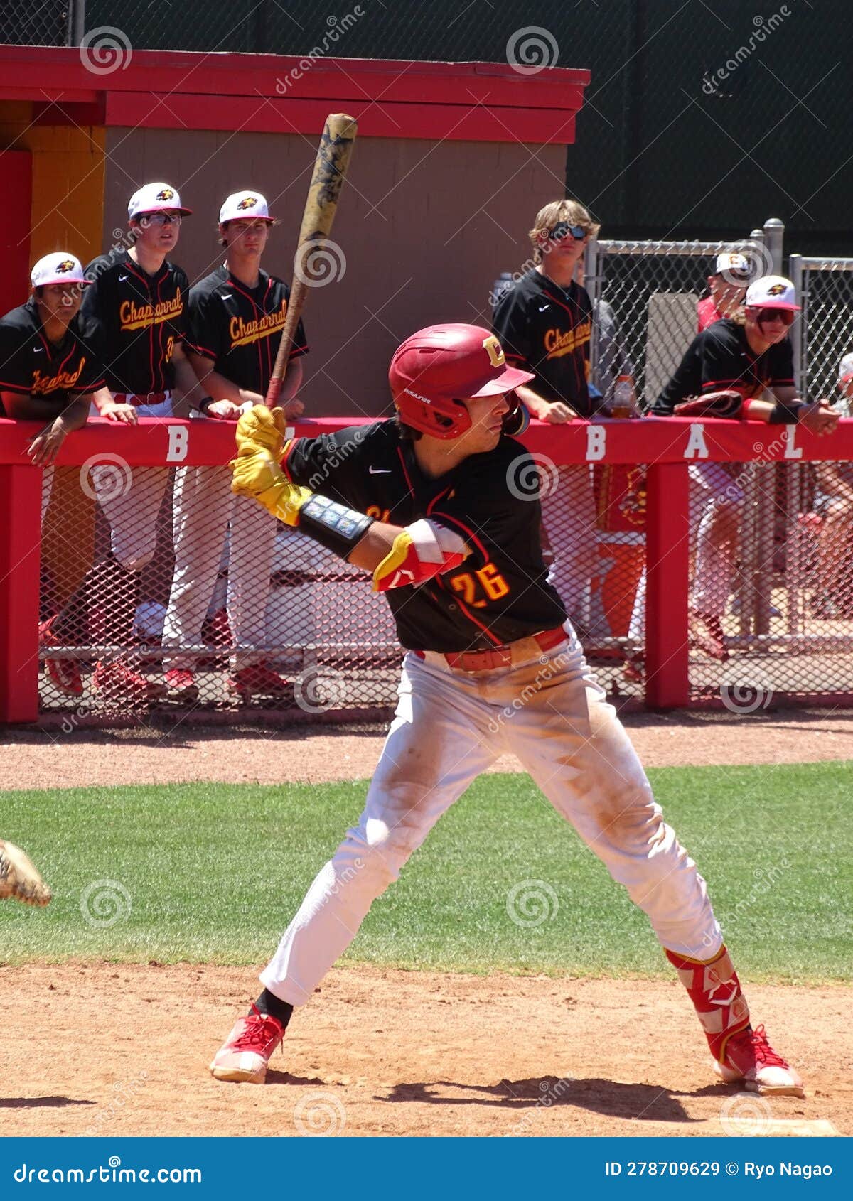 2023 Chaparral Firebirds Baseball Vs. Centennial Coyotes Editorial ...