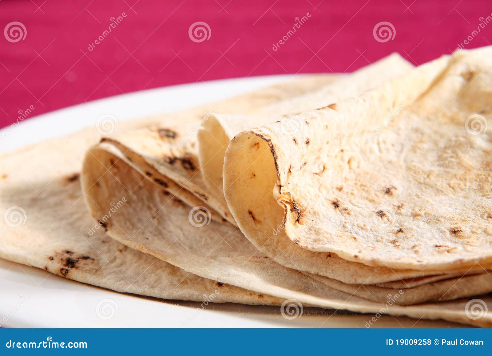 Chapatti bread stock photo. Image of unleavened, chapatti - 19009258