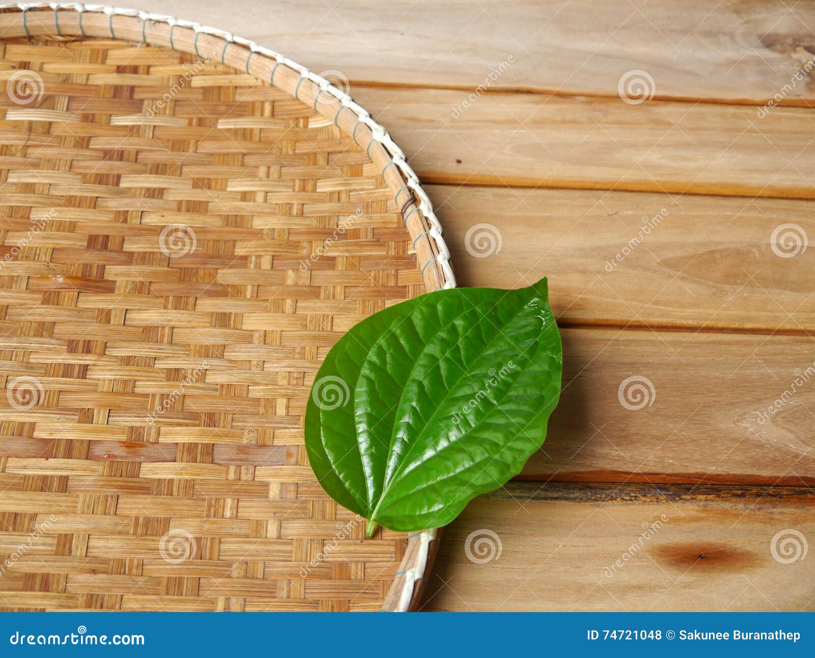 Chaplu leaf stock photo. Image of life, food, nature - 74721048