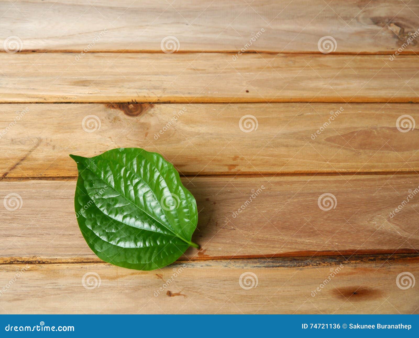 Chaplu Leaf Stock Photos - Free & Royalty-Free Stock Photos from Dreamstime