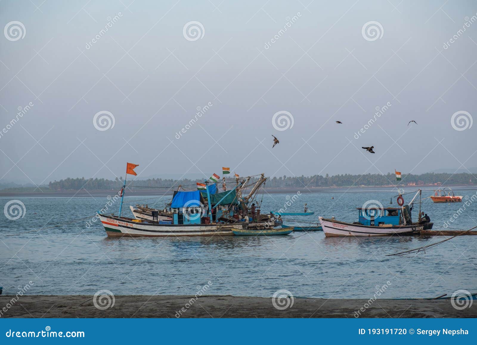 Chapora Fish Market in GOA editorial image. Image of fisherman - 193191720