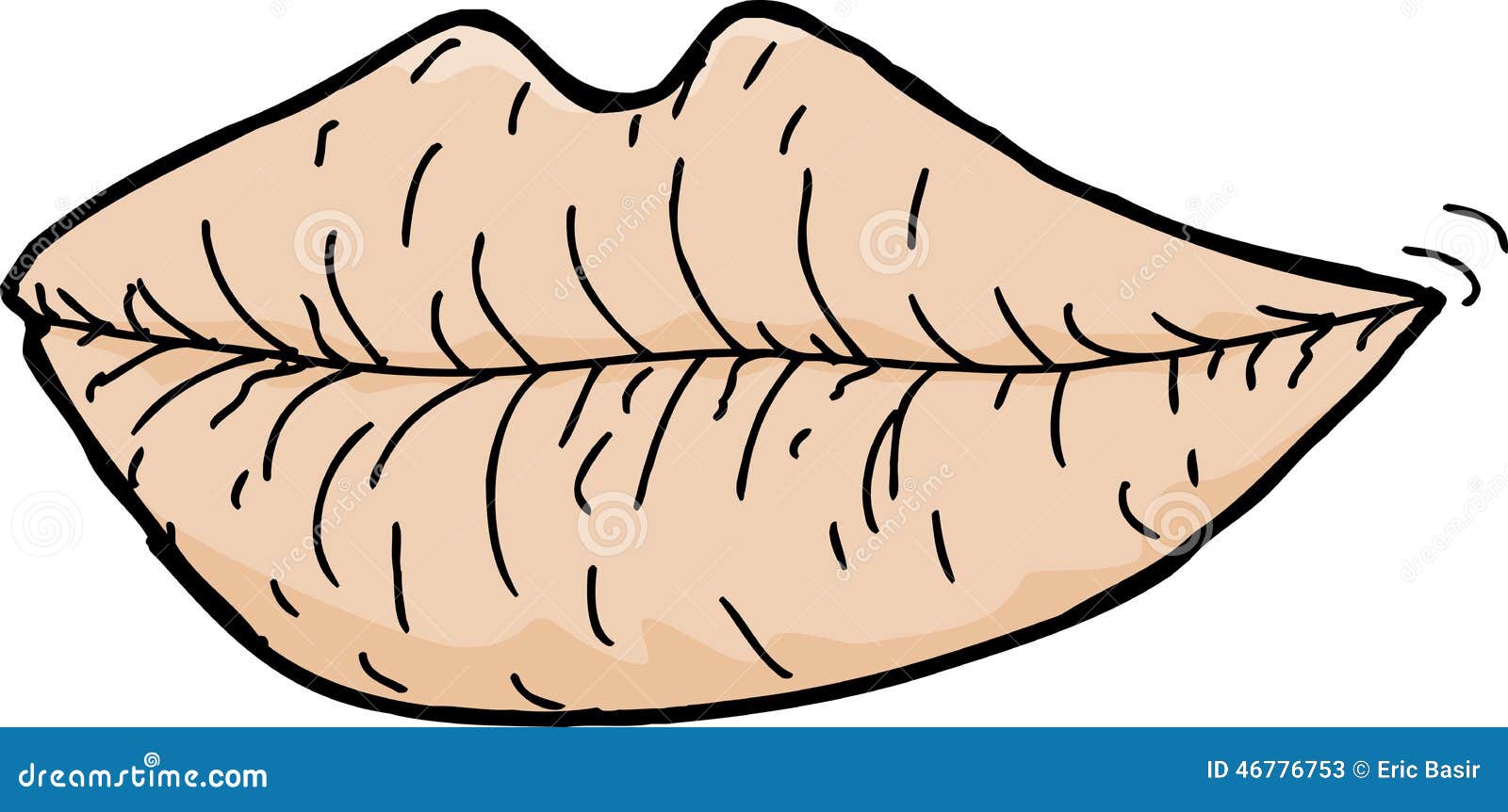 Chapped Lips stock vector. Illustration of sketch, isolated - 46776753