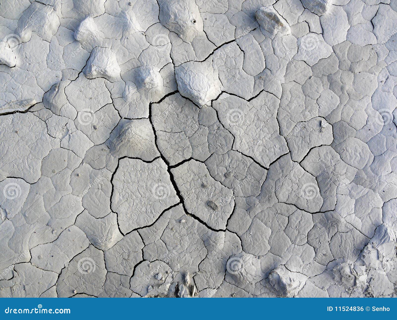 Chappy White clay stock photo. Image of parch, clay, crust - 11524836