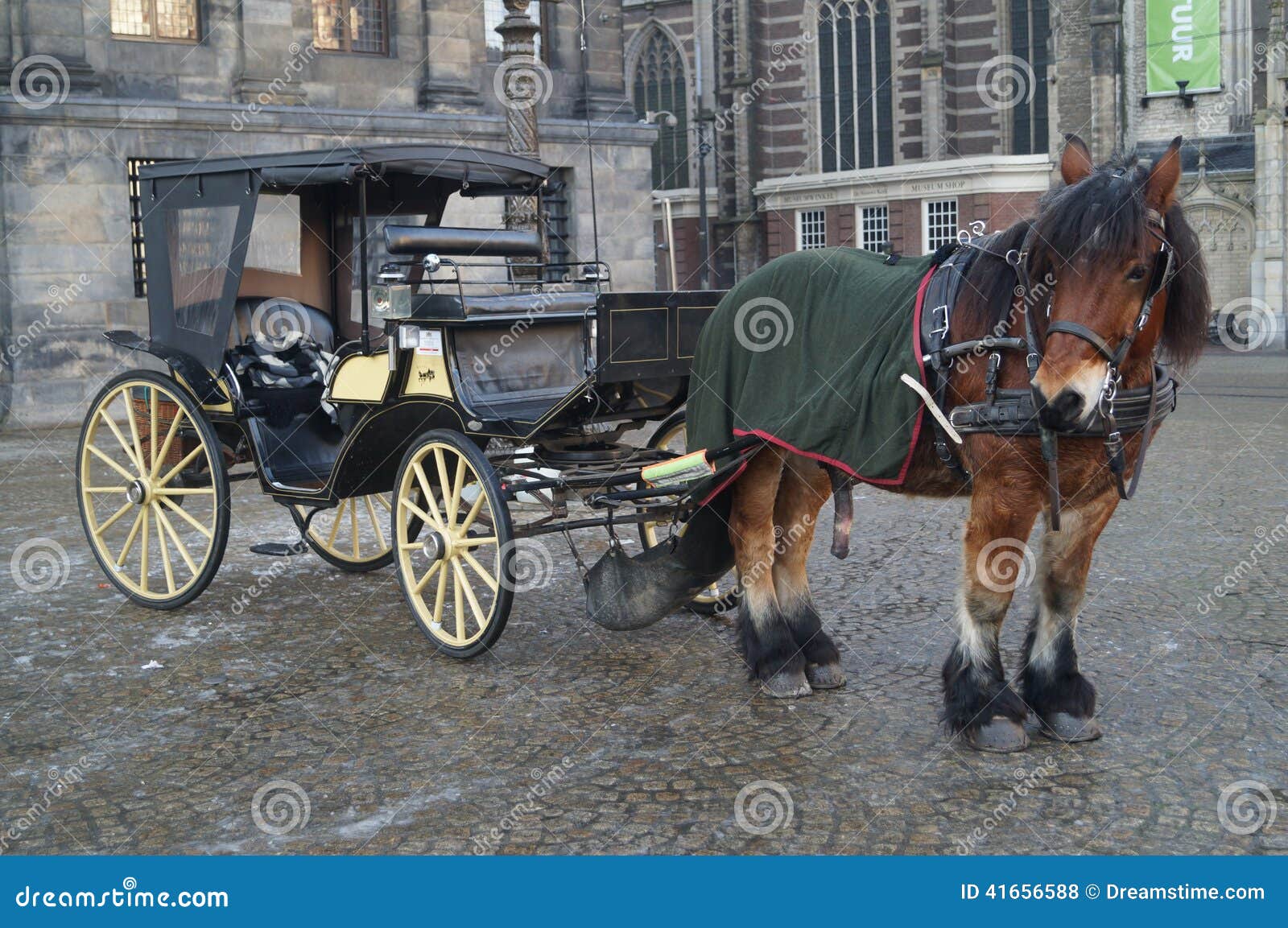 Char de cheval photo stock. Image du rupture, amsterdam - 41656588