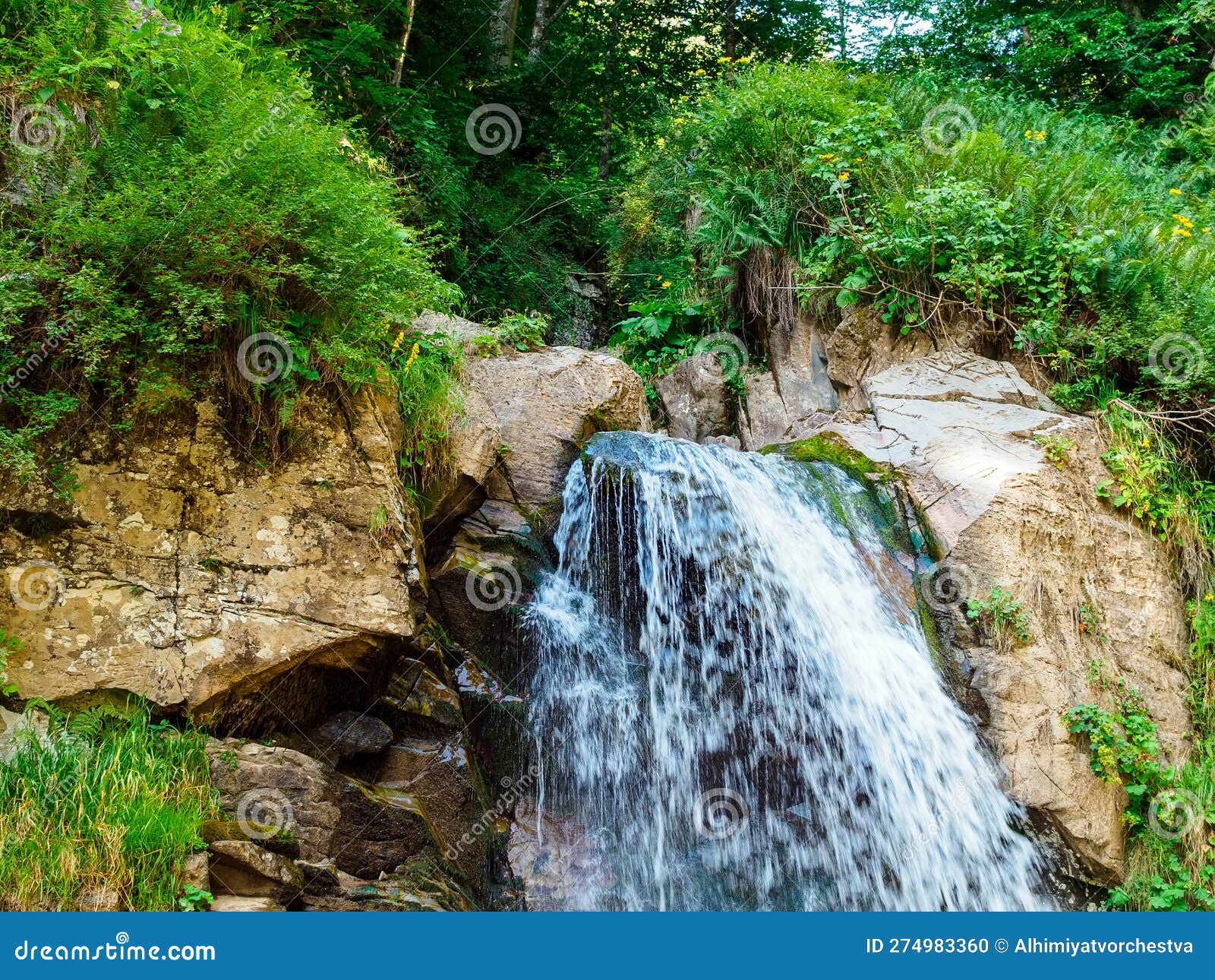 Chara Waterfall in the Mountains in Krasnaya Polyana, Sochi Stock Photo ...