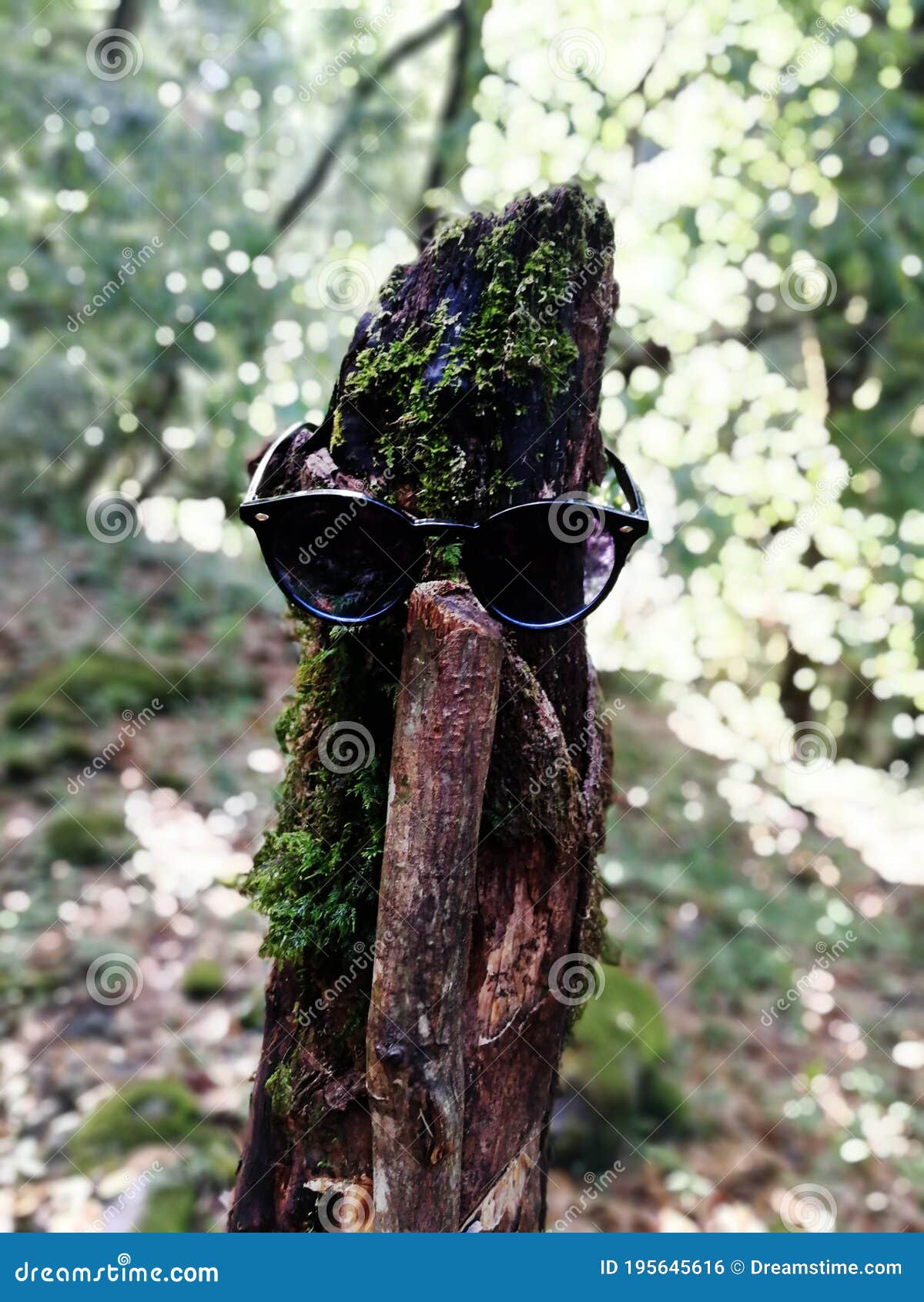 Character Composition with Nature and Manmade Objects Stock Photo ...