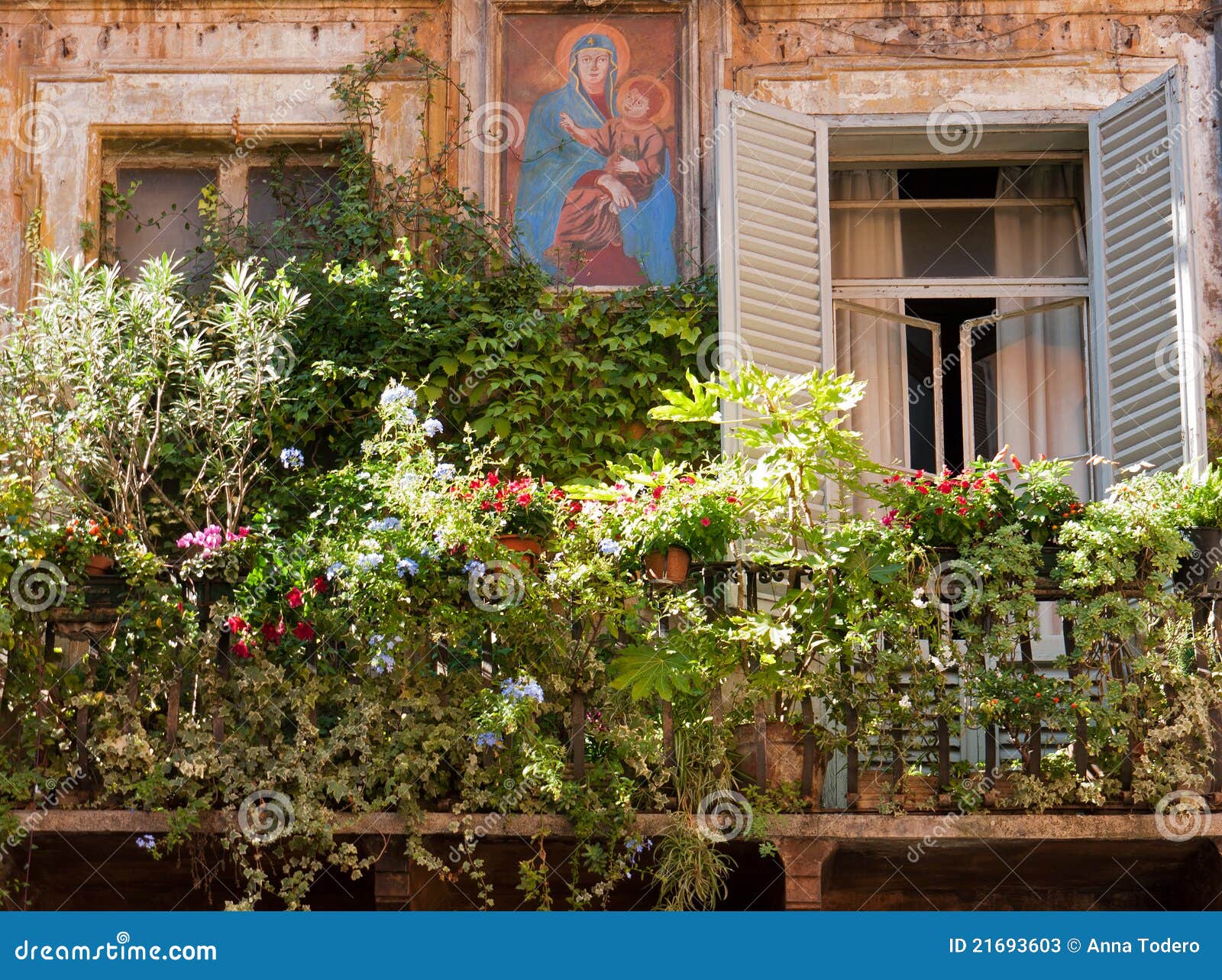 Characteristic Balcony in Rome Stock Image - Image of shutters, flower ...