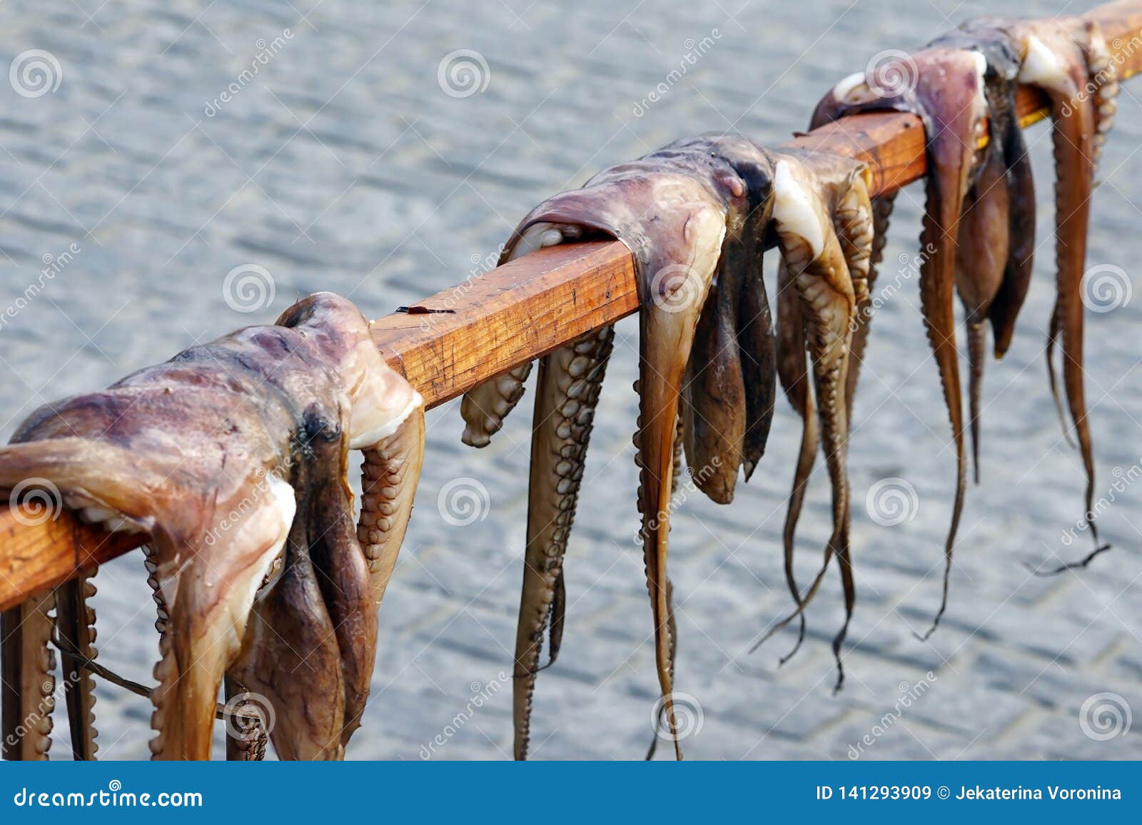 Characteristic Sun-dried Octopus Typical of the Cyclades Islands, Paros ...
