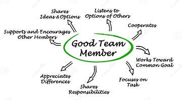 Characteristics of Good Team Member Stock Illustration - Illustration ...