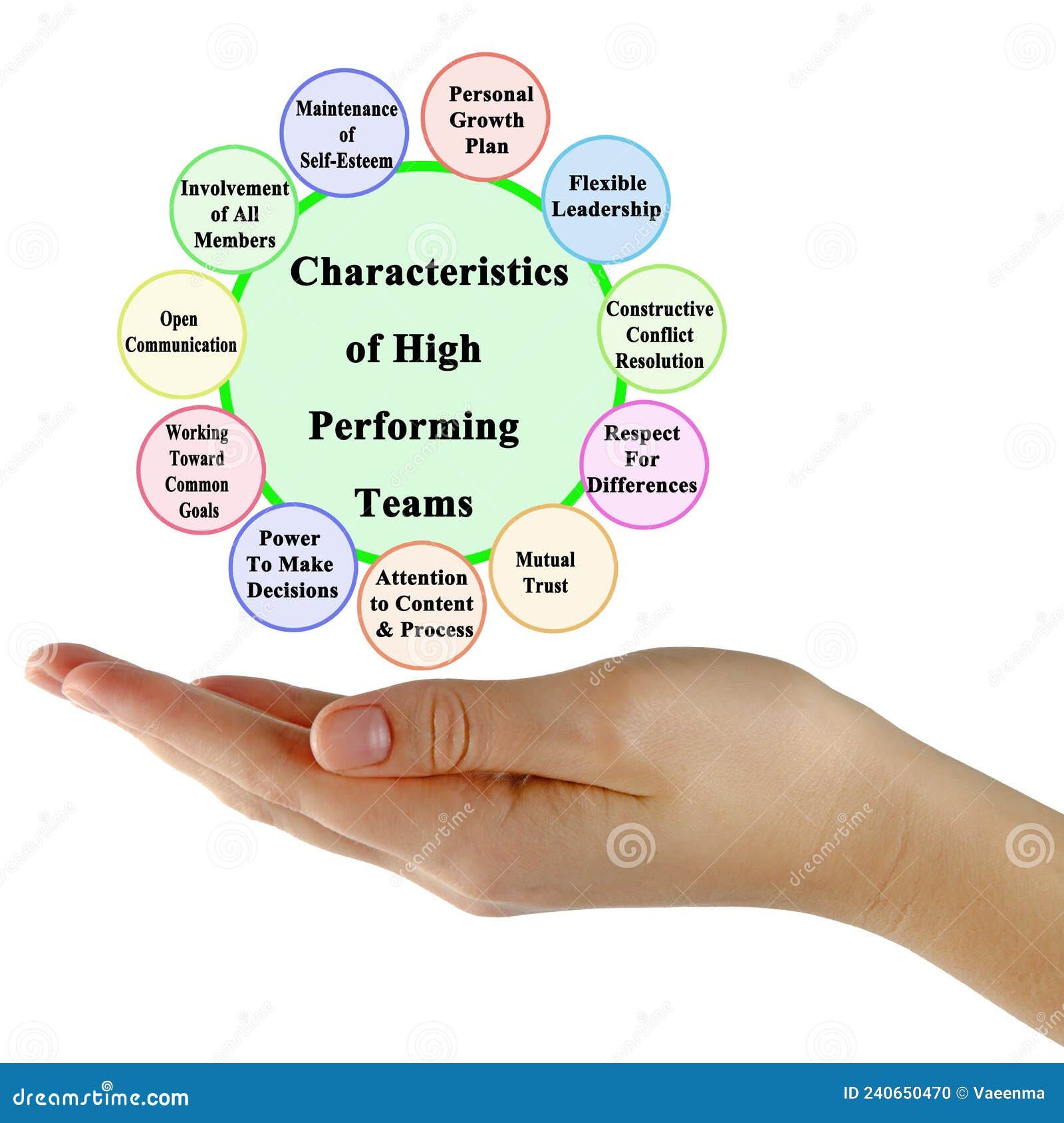 High Performing Teams stock photo. Image of flexible - 240650470