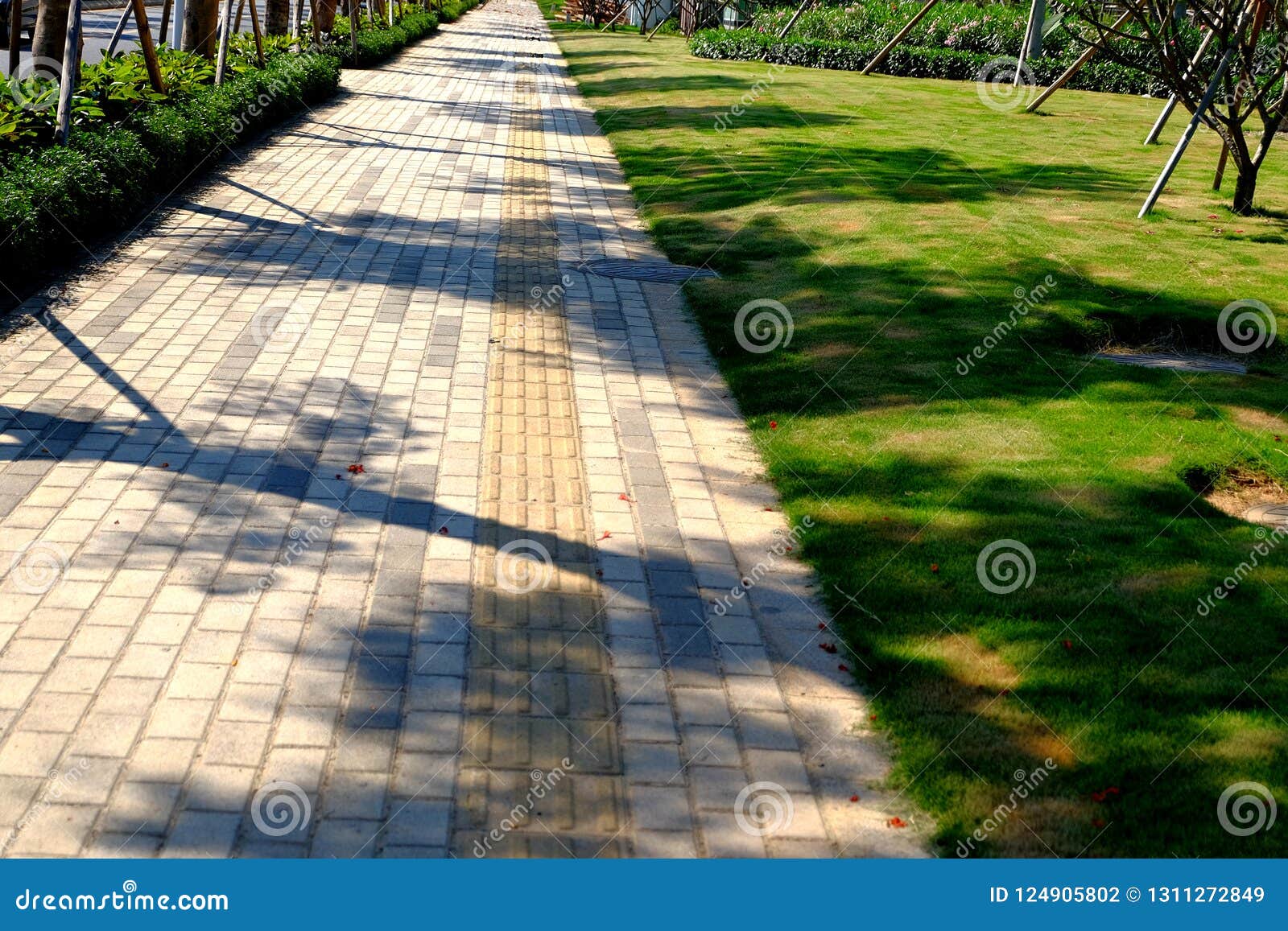 Shadow under sunshine stock photo. Image of shadow, cloudiness - 124905802