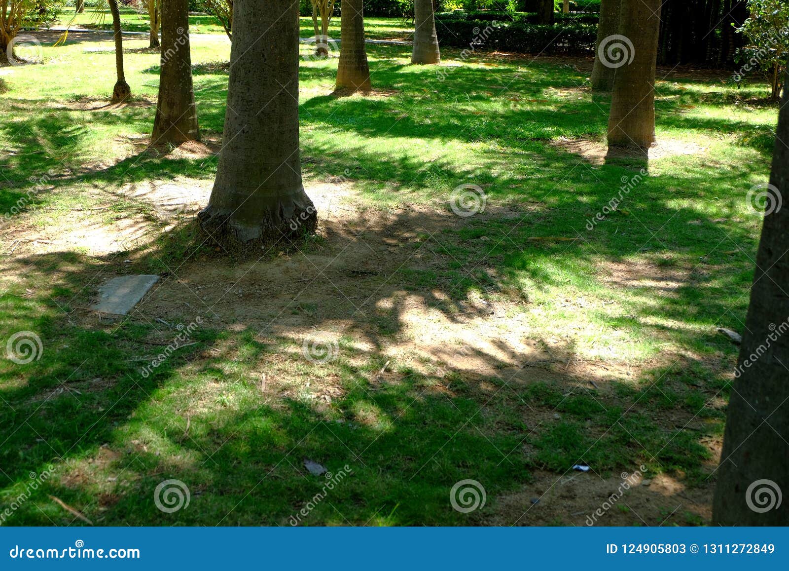 Shadow under sunshine stock image. Image of dark, sunbeam - 124905803