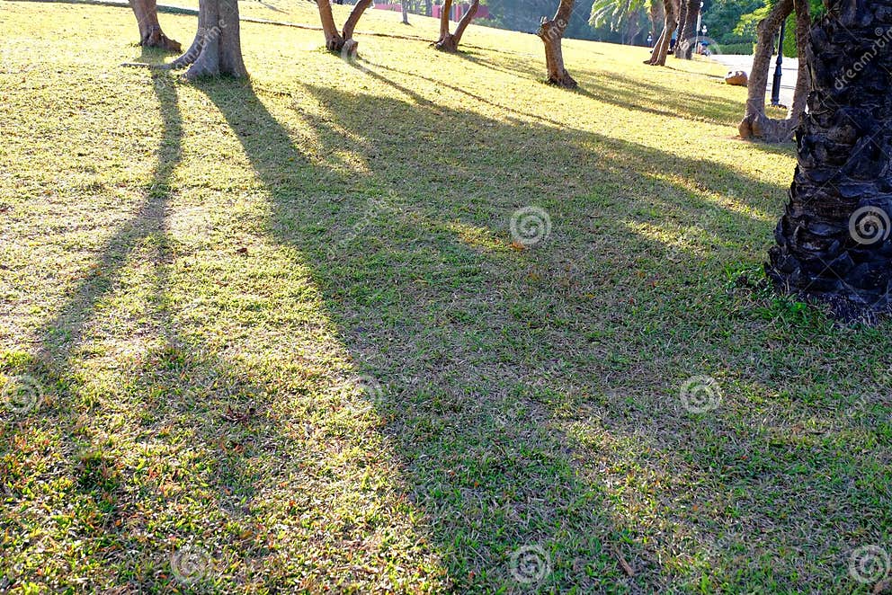 Shadow under sunshine stock image. Image of spot, opaque - 124905961