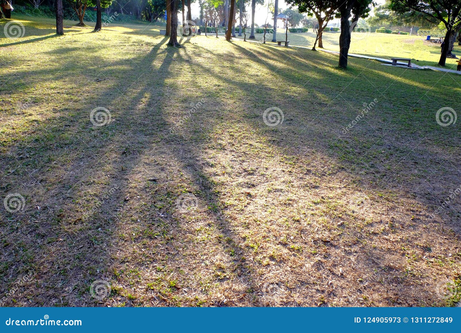 Shadow under sunshine stock image. Image of sunbeam - 124905973