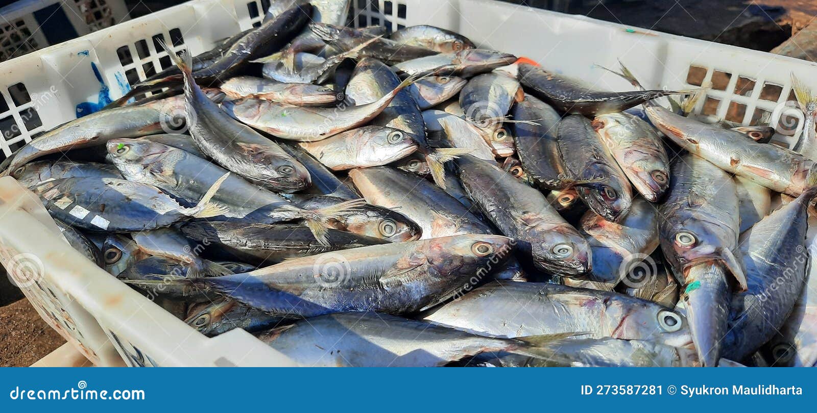 Characteristics of Poor Fish Quality Stock Image - Image of ...