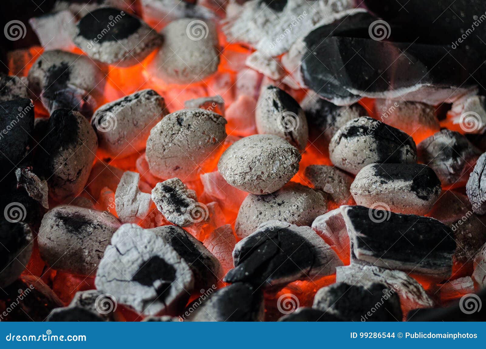 Charcoal, Animal Source Foods, Coal, Meat Picture. Image: 99286544