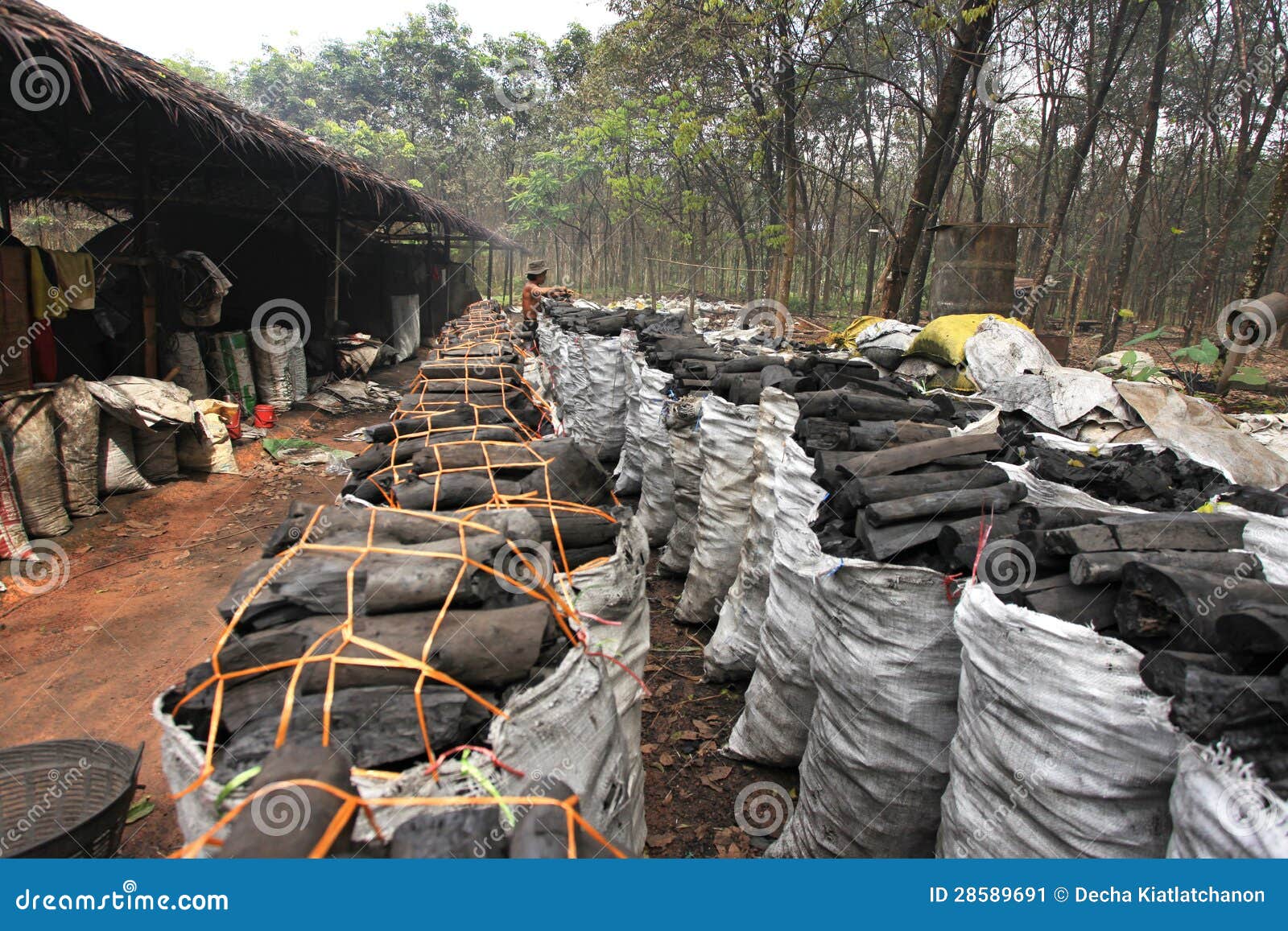 Charcoal factory worker editorial photo. Image of light - 28589691