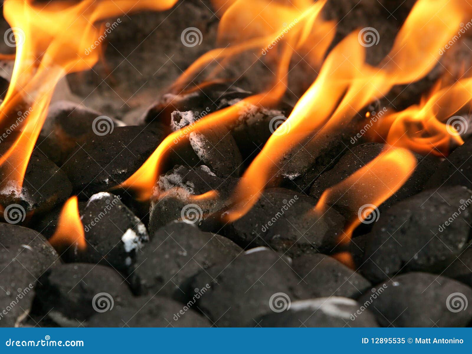 Charcoal on fire stock image. Image of abstract, close - 12895535