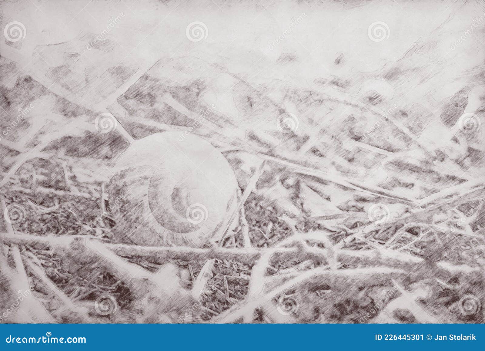 Charcoal or Graphite Drawing of Detail of a Snail Shell Stock Image ...