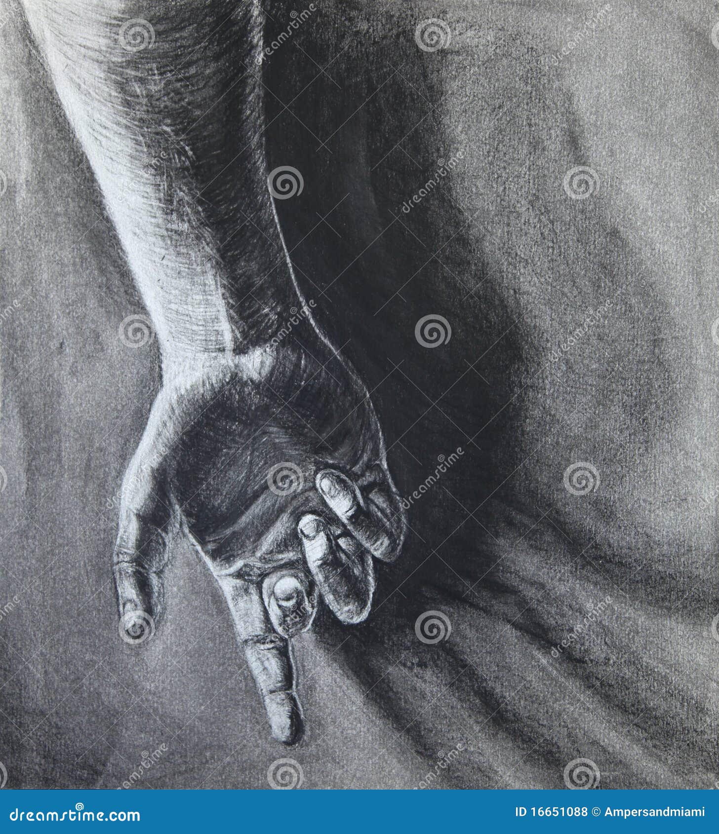 Charcoal Study of Hand stock illustration. Illustration of pastel ...