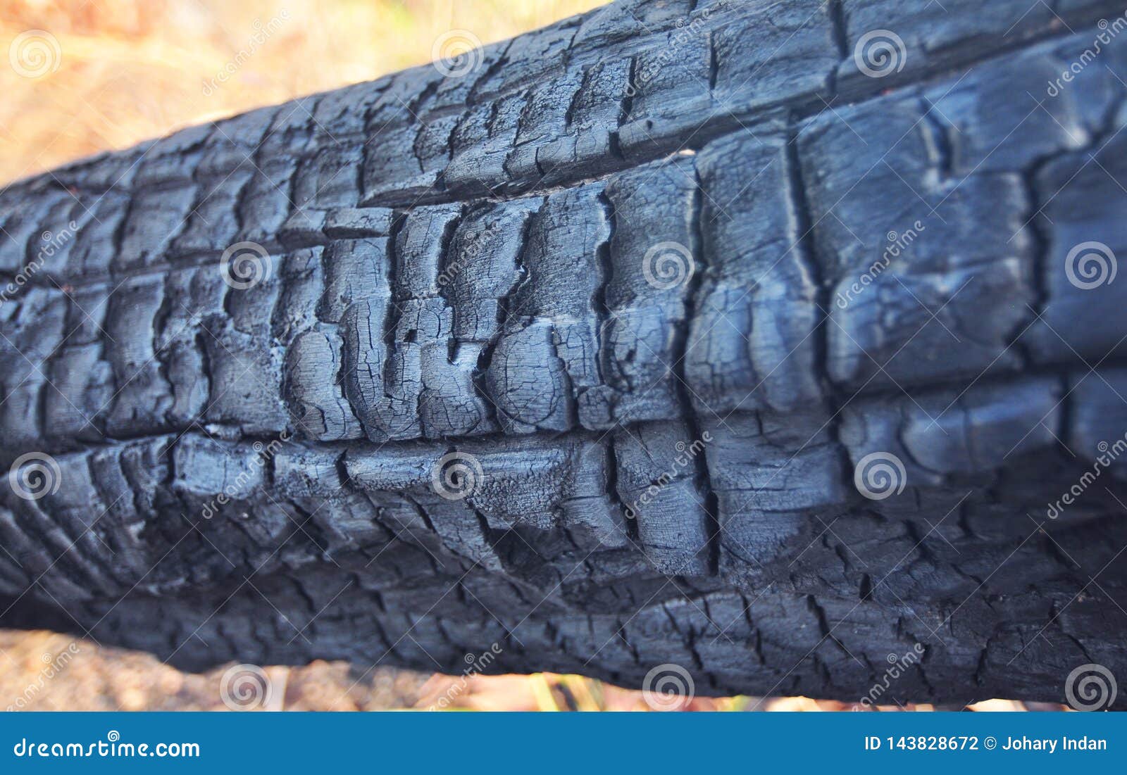 Charcoal stock photo. Image of months, tree, charcoal - 143828672