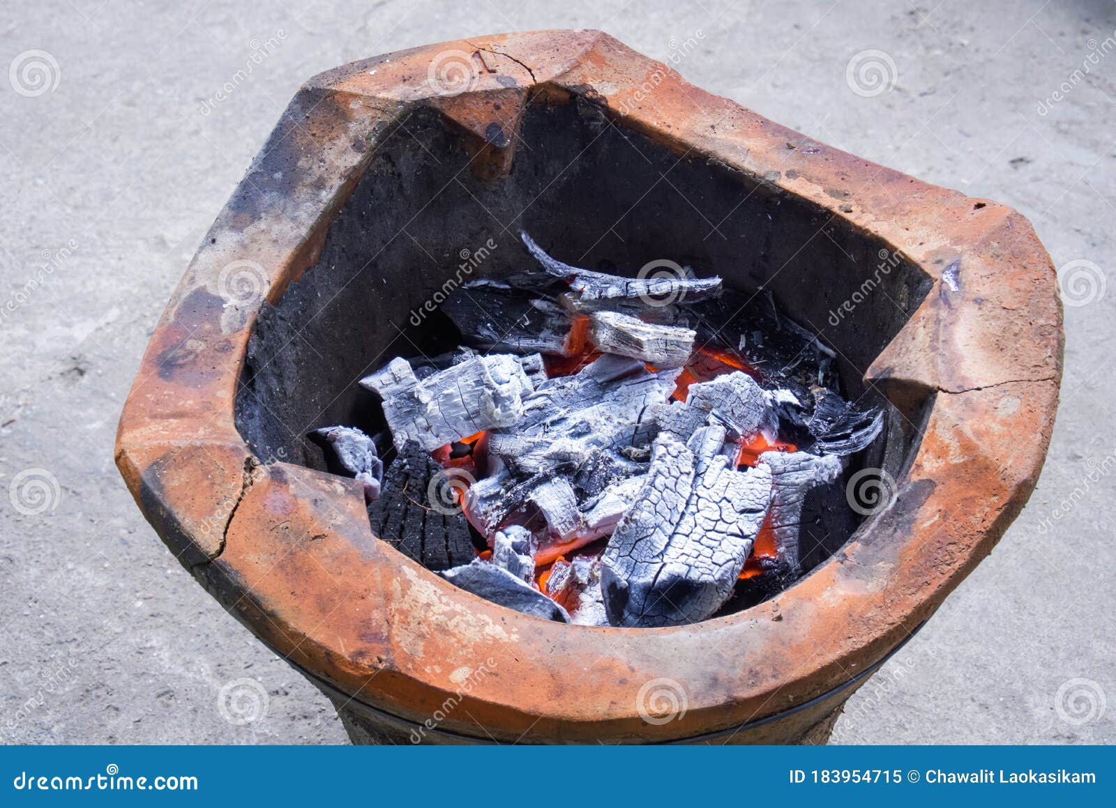 Coal Turtle Or Red-footed Turtle Chelonoidis Carbonaria - Type Of Land ...